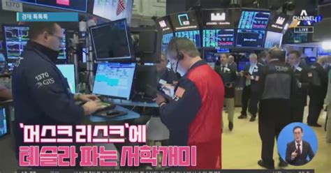 경제 톡톡톡 머스크 리스크에 테슬라 파는 서학개미