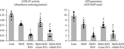 Mets Evs Did Not Improve The Renal Mitochondrial Function In Metsras Mets Evs Did Not Improve The Renal Mitochondrial Function In Metsras