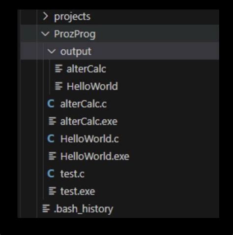 What Does This Output Folder Do Rvscode