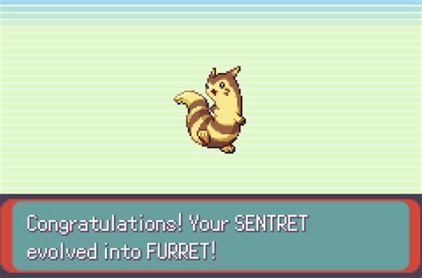 How To Evolve Sentret 5 Steps With Pictures WikiHow