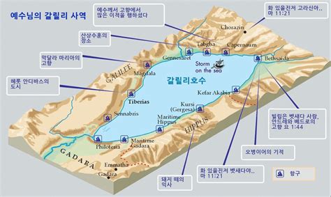 가버나움 Capernaum