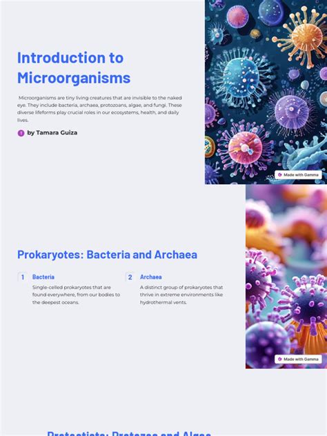 Introduction To Microorganisms Pdf Bacteria Protozoa