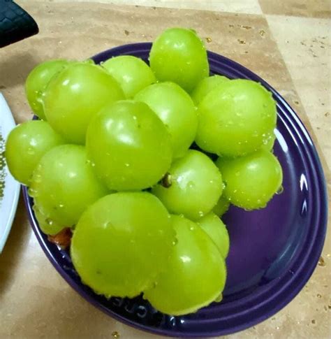 🏡👨‍👩‍👧‍👦 아침식사 소고기야채스튜 And 토스트 👨‍👩‍👧‍👦🏡 뉴스트림