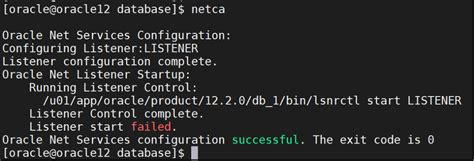 Linux安装oracle12c配置监听时提示监听启动失败 年少有为 博客园