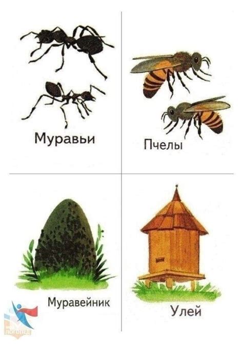 Дефектология Проф логопед дефектолог психолог — Фото Ok Ru
