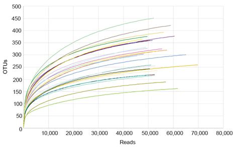 Rarefaction Analysis Of Different Samples Rarefaction Curves Of Otus
