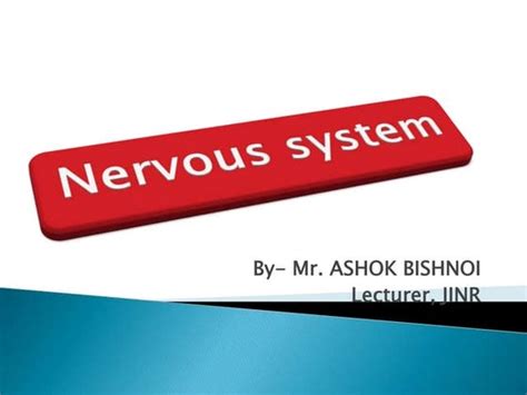Introduction To The Nervous System Ppt