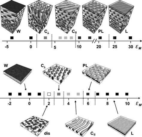 Dynamic Density Functional Theory Simulation Results For The Effect Of