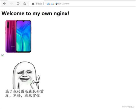 nginx中的防盗链原理 nginx防盗链原理 csdn博客