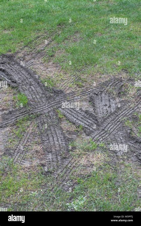Tire Marks On Grass At Brittany Wertz Blog
