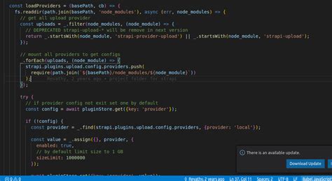 The Provider Package Isnt Installed Please Run `npm Install Strapi