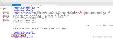 【云原生】k8s之ingress ingress yaml csdn博客