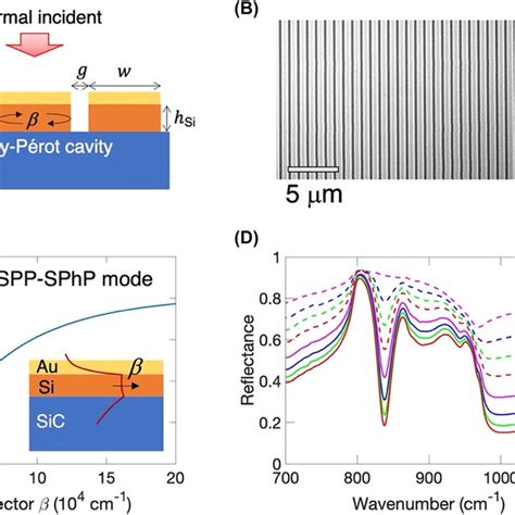 Fabrypérot Cavity Resonance Of The Coupled Surface Plasmonphonon