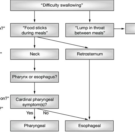 Algorithm Used By The Author To Differentiate Between Esophageal