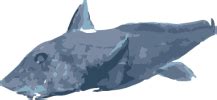 The Deep Sea