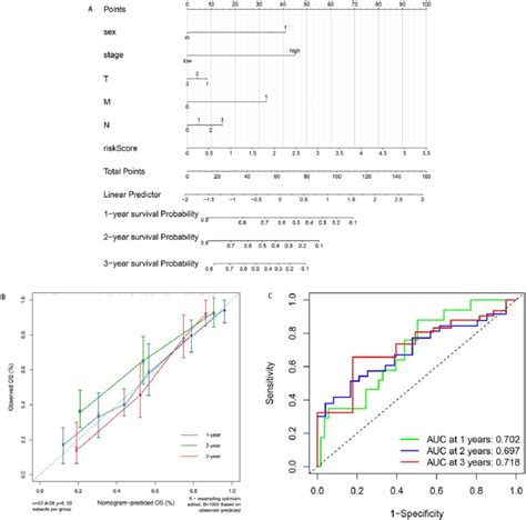 Nomogram For Predicting The Patients Survival Based On The Risk Score Download Scientific