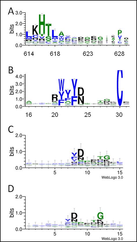 Graphical Representation Of Sequence Conservation Patterns Sequence