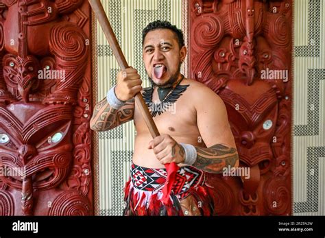 Sticking The Tongue Out Also Known As Pukana Is A Traditional Māori