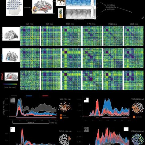 representational dynamics analysis rda reveals how feature
