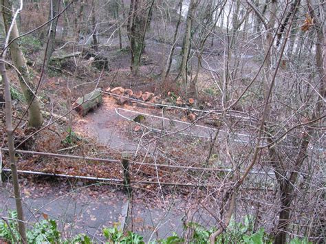 Everyone Likes Pictures The Zig Zag Path