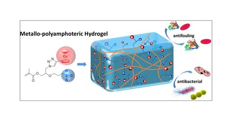 Metallo Polyampholyte Hydrogel Based On A Y Shaped Amphoteric Monomer