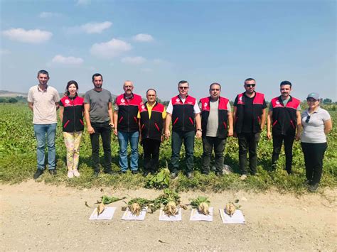Bu Proje Çok Tatli Şekerİ Kendİnden Bandirma Yasam