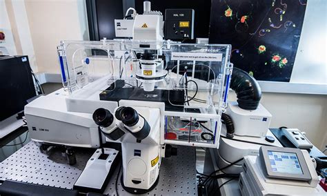 Zeiss Microscopy Online Campus At Matthew Boston Blog