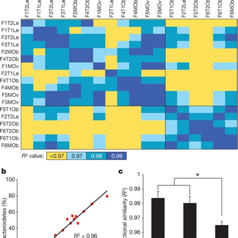 Metabolic Pathway Based Clustering And Analysis Of The Human Gut