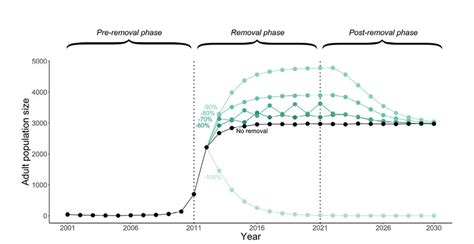 Population Size Of Invasive Toads Estimated By A Stage Structured Model