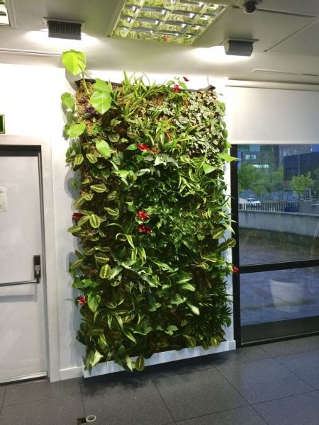 Jardines Verticales En Una Oficina Ciudad De La Imagen Innova Jardín Jardines Verticales Y