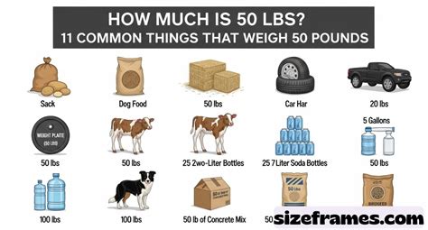 How Much Is 50 Lbs 11 Common Things That Weigh 50 Pounds