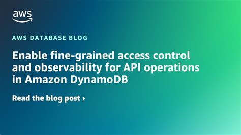 enable fine grained access control and observability for api operations