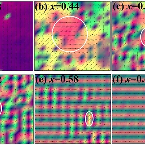 A F Domain Structure For Different Compositions X At Zero Cooling