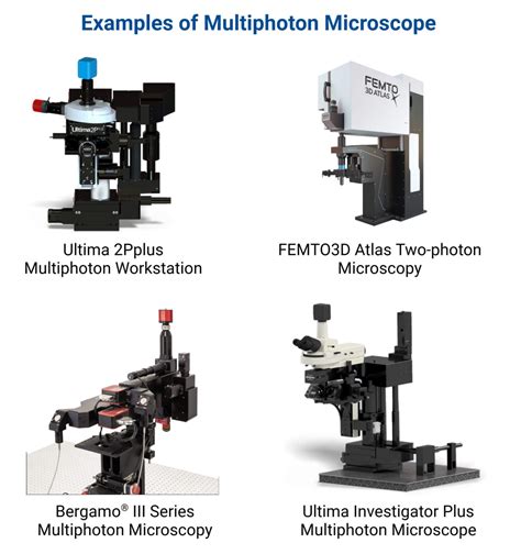 Multiphoton Microscopy Principle Parts Steps Uses