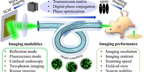 Healthhq Optical Fiber Endoscopes Breakthroughs In Miniaturization And Imaging Quality