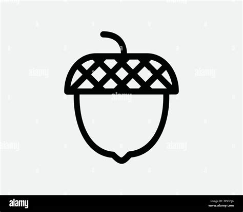 Acorn Outline Nut Fruit Autumn Fall Season Black And White Line Icon