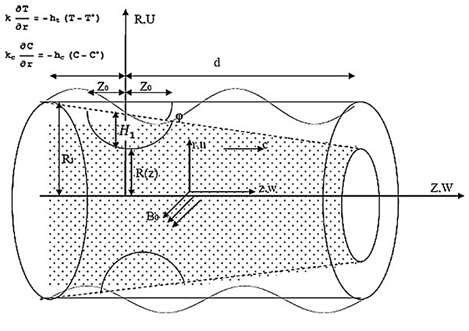 The Geometry Of The Problem Download Scientific Diagram