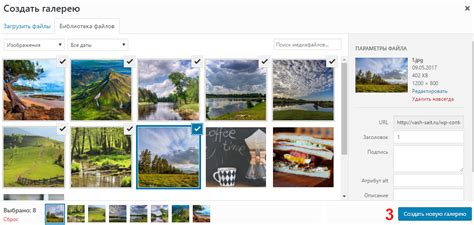 Как в Wordpress создать галерею