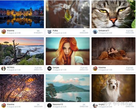 史上最全的壁纸网站！ 知乎