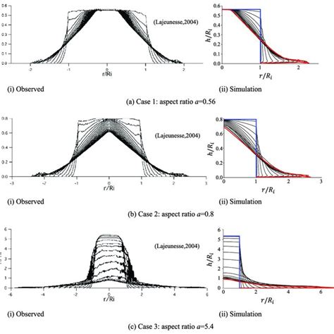 Initial Configuration And Numerical Conditions Of Granular Column