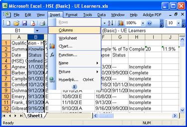 Reports Properties Displayed And Excel