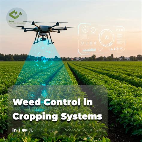 The Future Of Weed Control In Cropping Systems Sairone