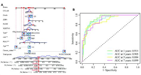 The Development And Validation Of The Risk Score Based Nomogram A A Download Scientific