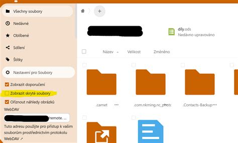 Bug Hidden Files Visible In Grid View Mode · Issue 35885