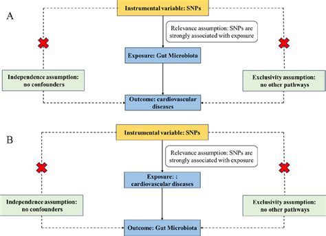 Flowchart Of The Two Sample Mr Analysis Process A Three Important