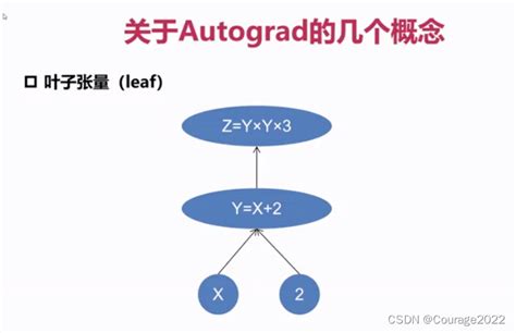 Chapter3 Pytorch与机器学习有关函数（二）courage Torch Csdn博客
