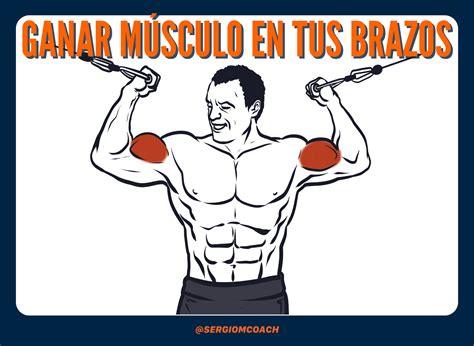 ¿cómo Ganar Más MÚsculo En Los Brazos Sergio M Coach