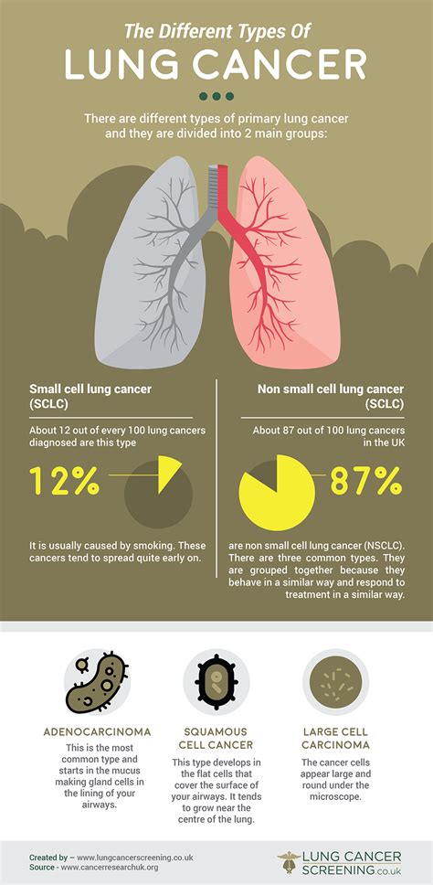 Lung Cancer Types Lung Health Check