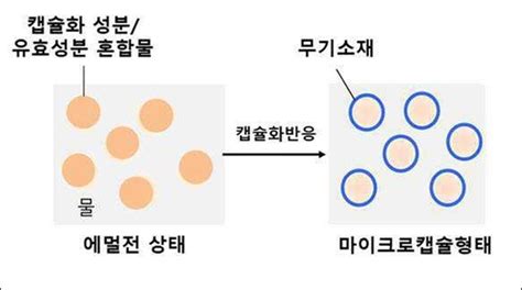 화장품 뷰티 전문 미디어 코스인코리아닷컴