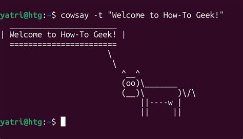 Why You Should Install Python Apps With Pipx And How To Get Started